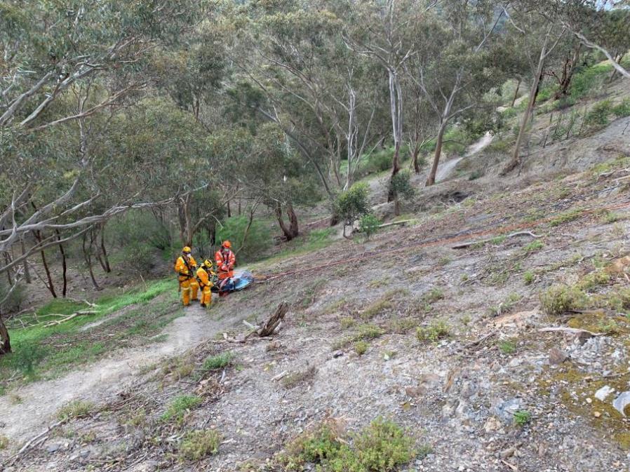 CFA leads rescue of hiker at Plenty Gorge | CFA News & Media