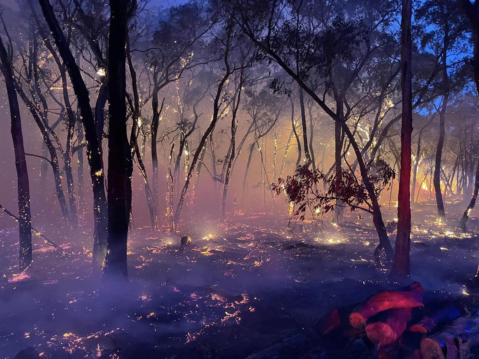 Firefighters contain Berringa grassfire | CFA News & Media
