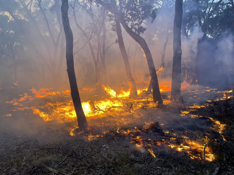 Firefighters contain Berringa grassfire | CFA News & Media
