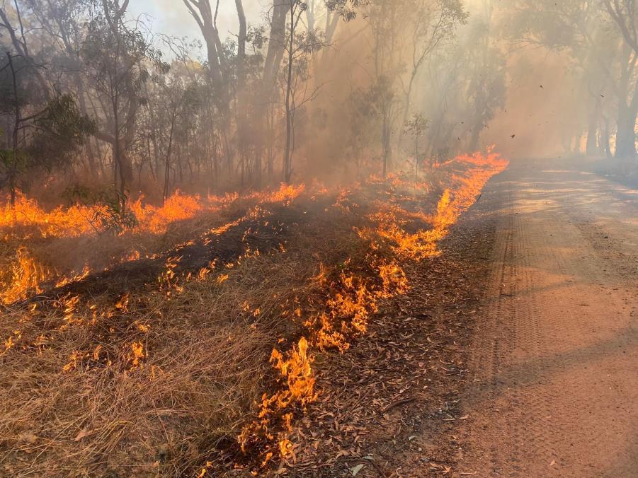 New program to boost planned burn activities | CFA News & Media