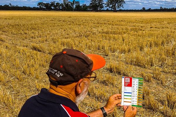 Volunteers helping cure grassfire risk | CFA News & Media