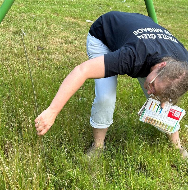 Watching grass dry critical to keeping Victorians safe this summer ...
