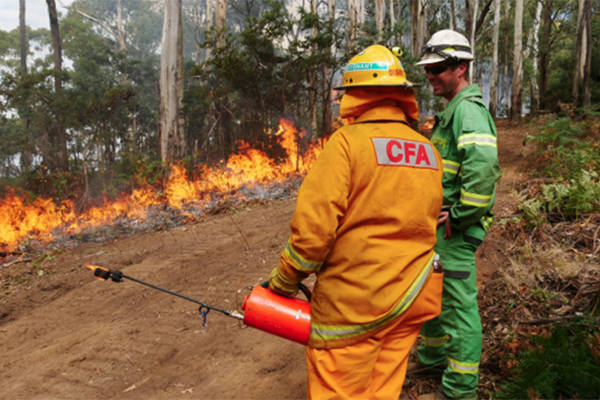 Planned burn training develops skills | CFA News & Media