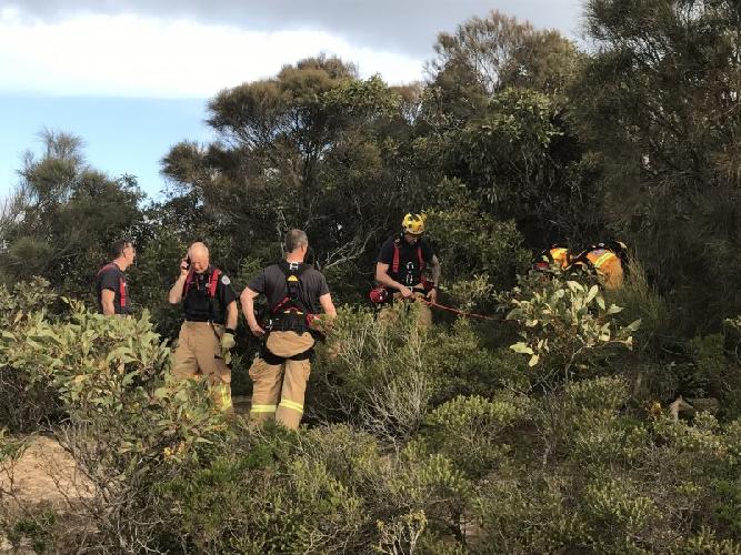 Ruff rescue for CFA | CFA News & Media