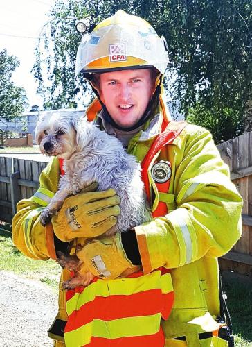 CFA members rescue puppy from house fire | CFA News & Media
