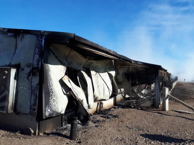 Chickens lost in Euroa shed fire | CFA News & Media