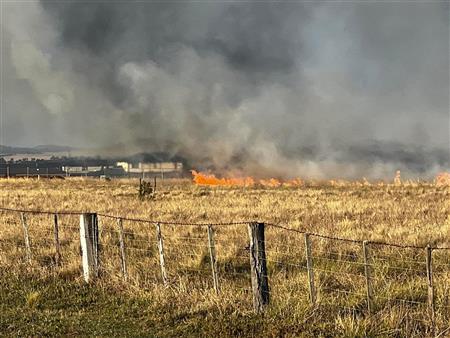 One hundred firefighters battle Thornhill Park grassfire | CFA News & Media
