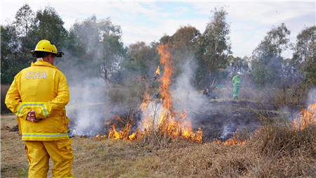 Fire agencies building reconciliation through cultural burns | The ...