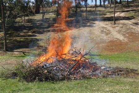 Fire restrictions to end in parts of North East | CFA News & Media